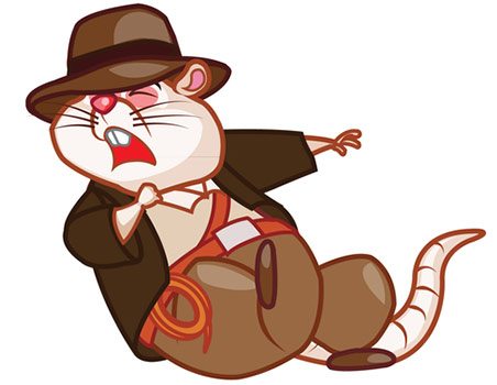 5 Sad Signs Your Rat is Dying (and What To Do Now)