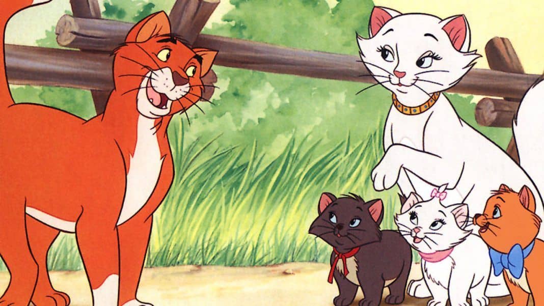 54 Best Cat Names from Movies & TV: Male and Female Cats (See Pics)
