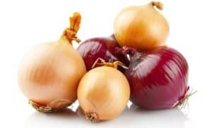 Can Rats Eat Onions? Are They Toxic? Advice From a Vet